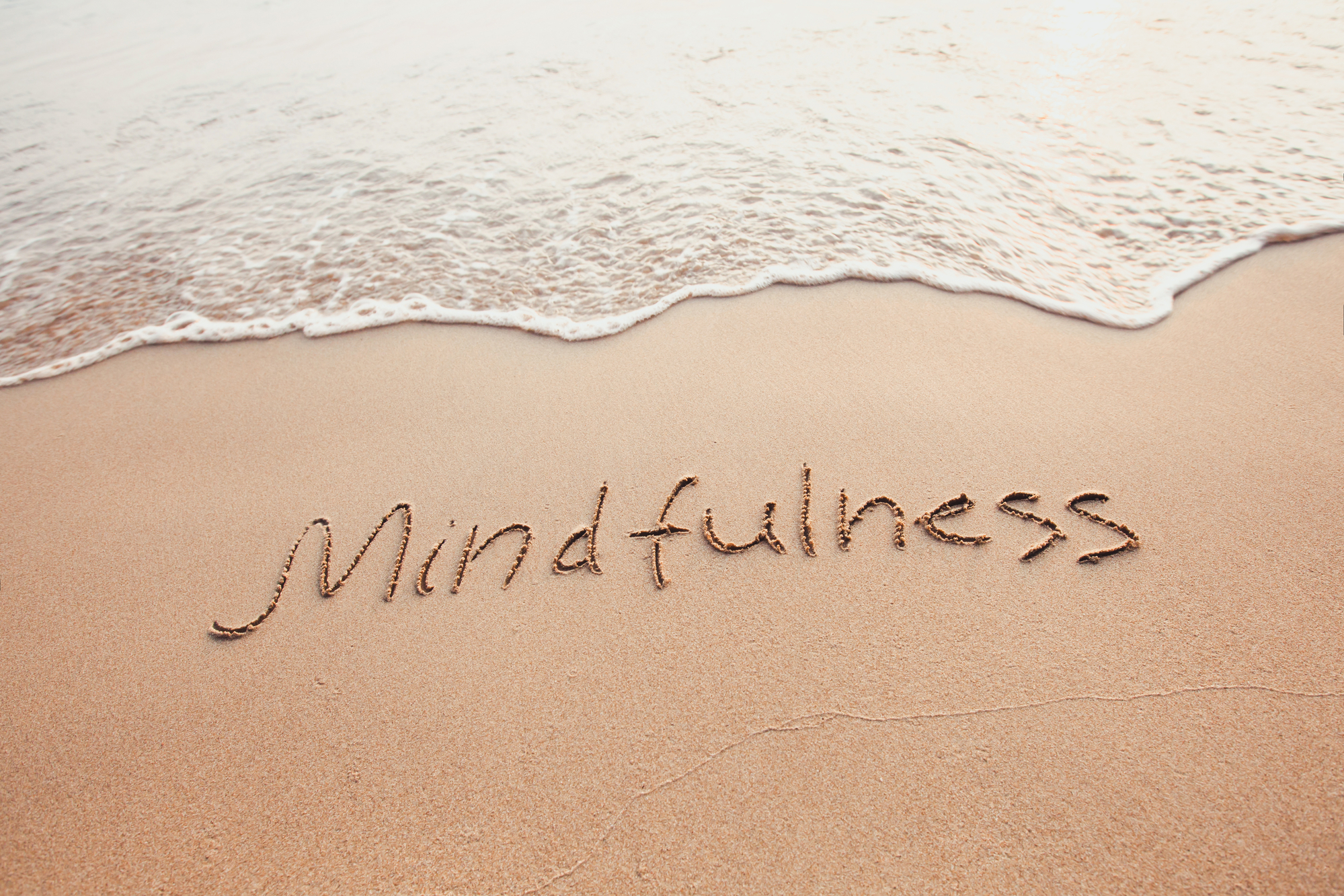 Mindfulness para Iniciantes: Como Viver o Momento Presente e Reduzir o ...